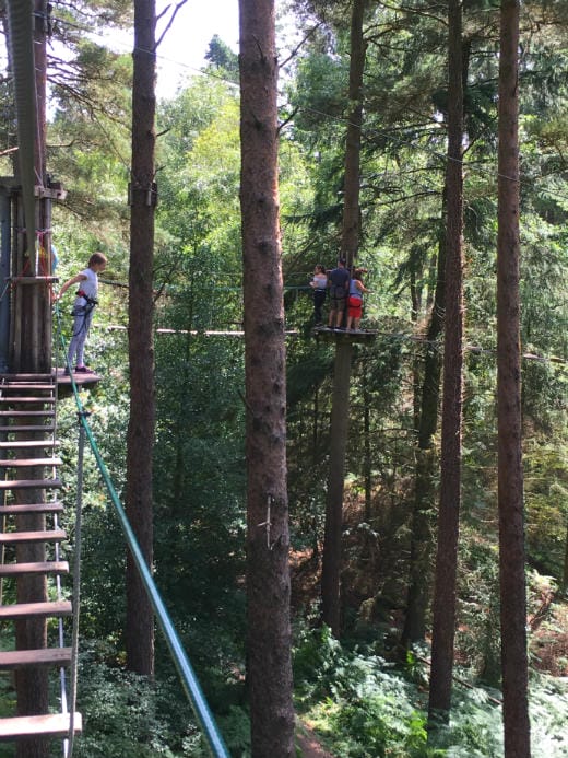 An Active Day Out In Devon At Go Ape