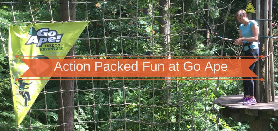 An Active Day Out In Devon At Go Ape