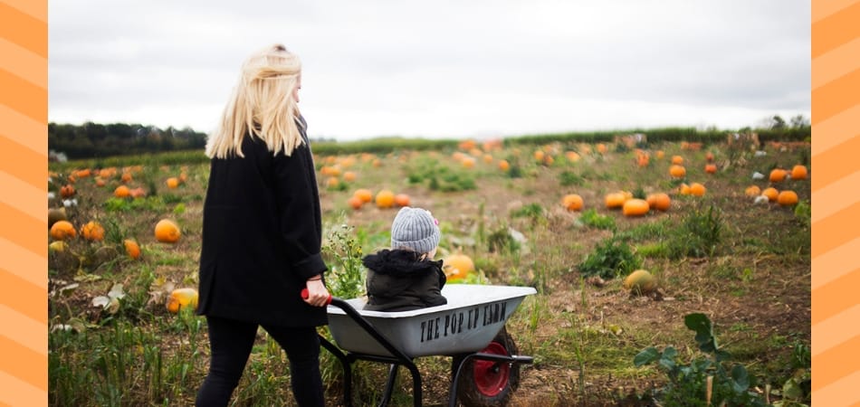 Where To Find Pick Your Own Pumpkin Patches 2025
