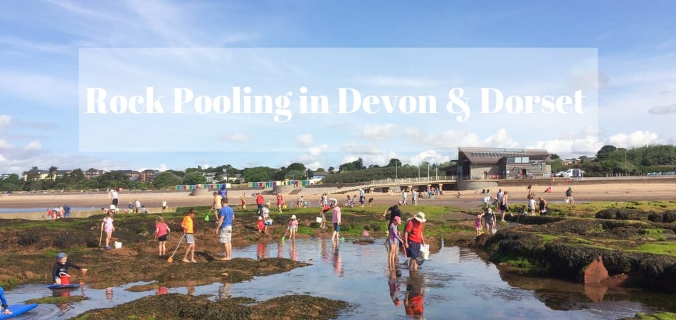 Best Rock Pooling In Devon And Dorset