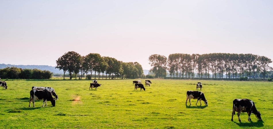Open Farm Sunday Events 2025
