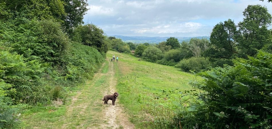 Seaton Circular Walks In Devon